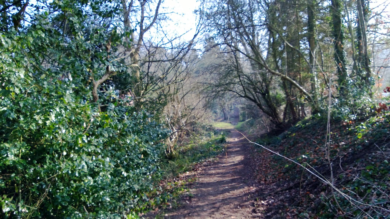 Something Beautiful Everyday: West Malvern Village, Worcestershire